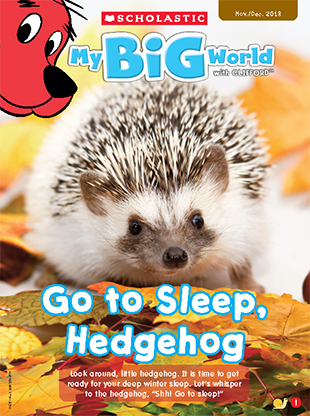 Go to Sleep, Hedgehog - Nov / Dec 2018
