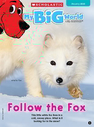 Follow the Fox - January 2020