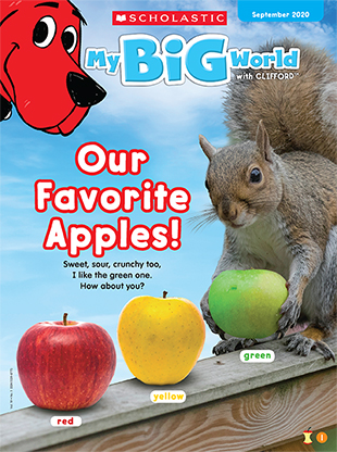 Our Favorite Apples! - September 2020