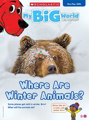 Where Are Winter Animals? - Nov / Dec 2021