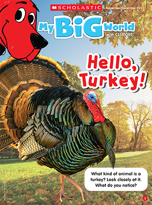 Hello, Turkey!- Nov/Dec 2022