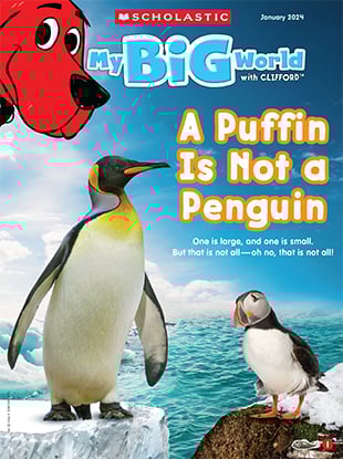 A Puffin Is Not a Penguin - January 2024