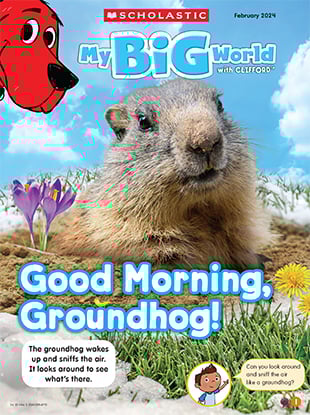 Good Morning, Groundhog! - February 2024