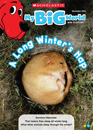 A Long Winter’s Nap - December 2025